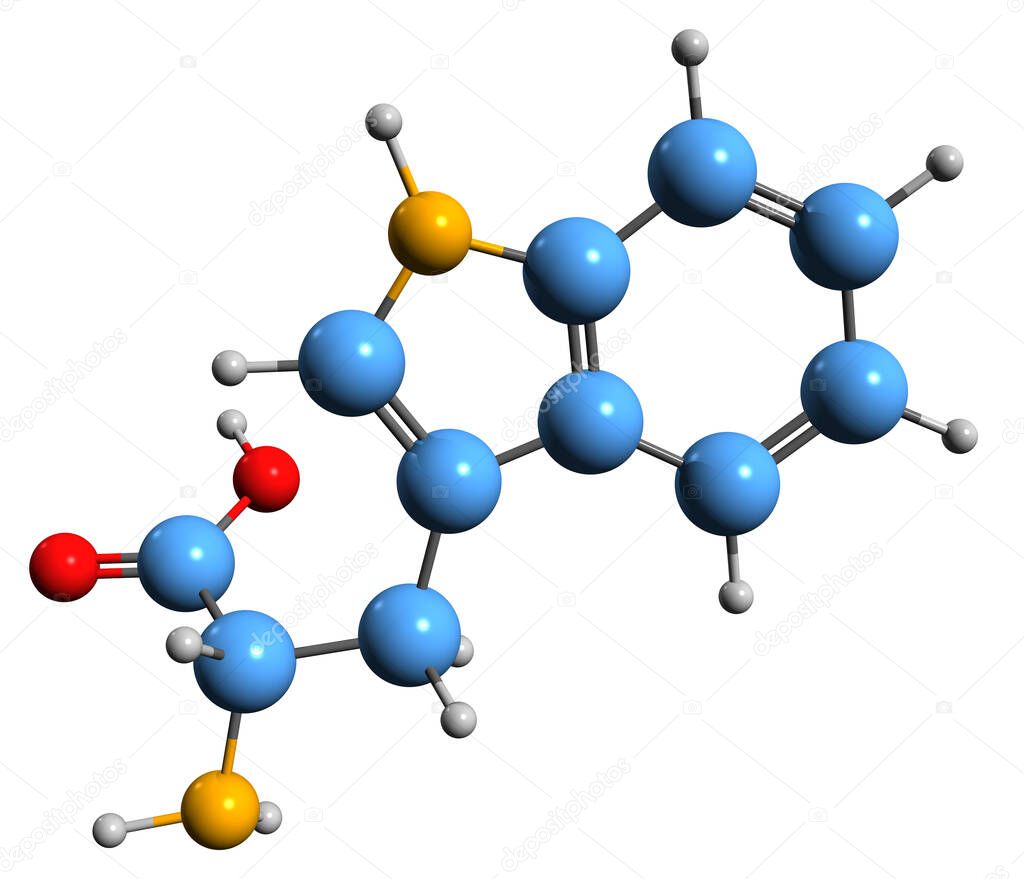 Imagen 3D de la fórmula esquelética de triptófano - estructura química ...