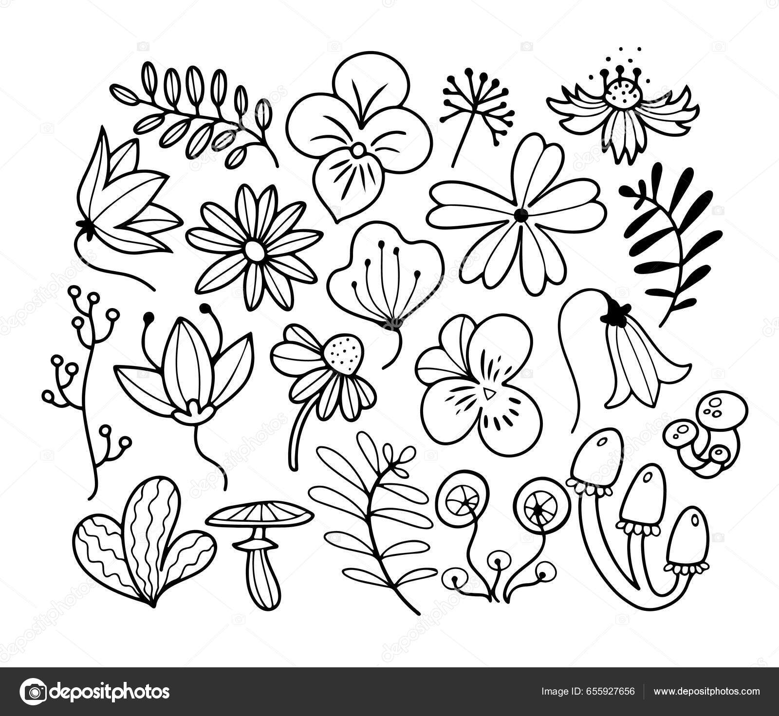 Hand Drawn Cute Doodle Line Art Set Spring Flowers Isolated Stock ...