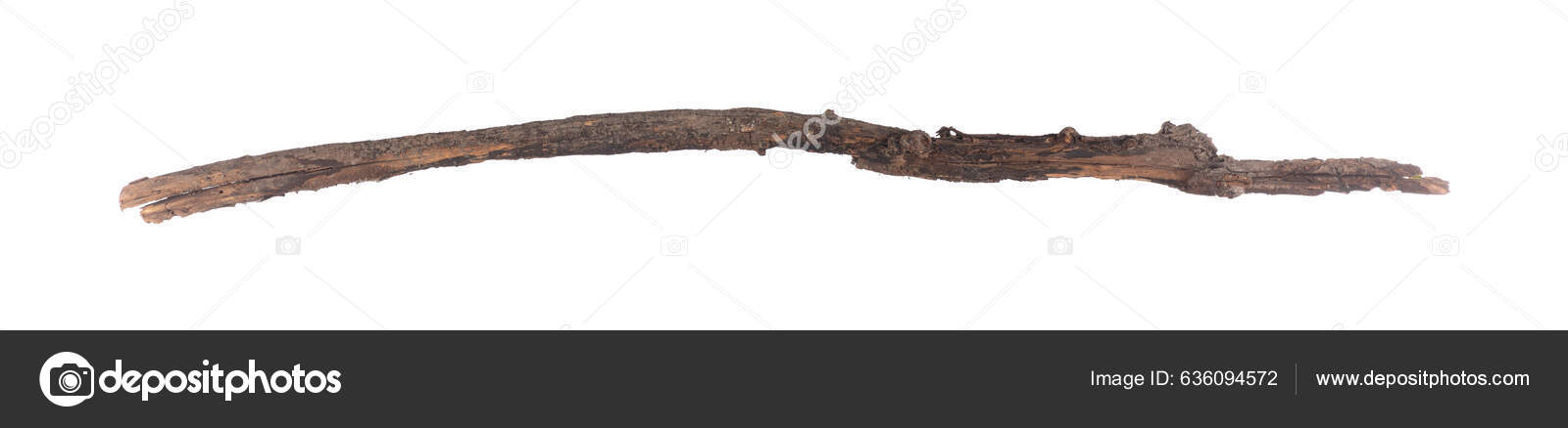 Magic Stick Wooden Walking Stick Isolated White Background Stock Photo ...