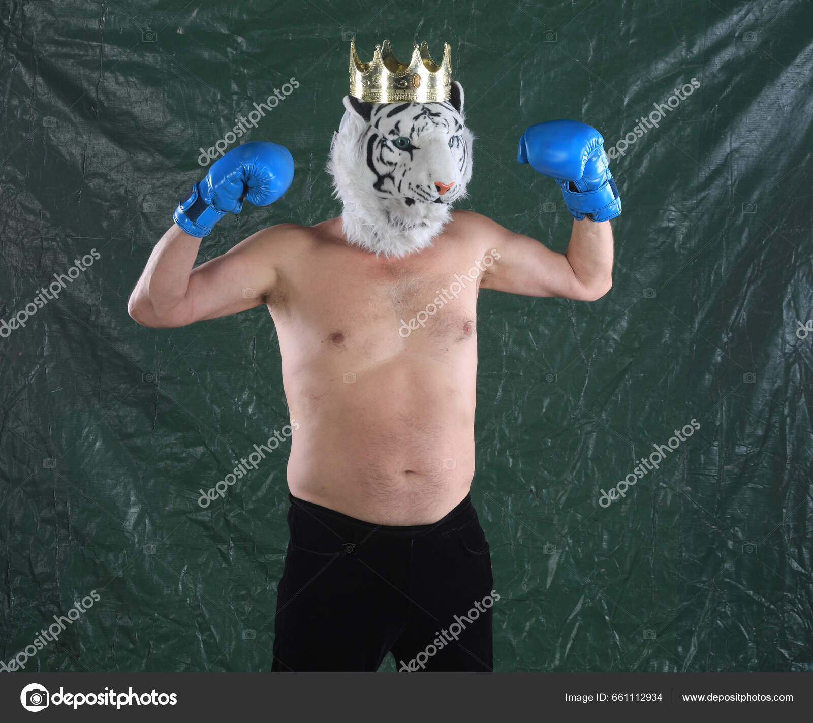 Tiger Mask Wrestler Mask