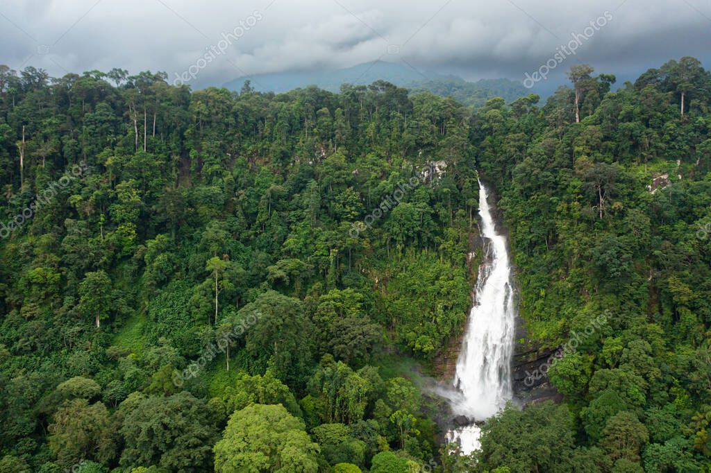 Cascada entre selva tropical con plantas y árboles verdes. Mapalana ...