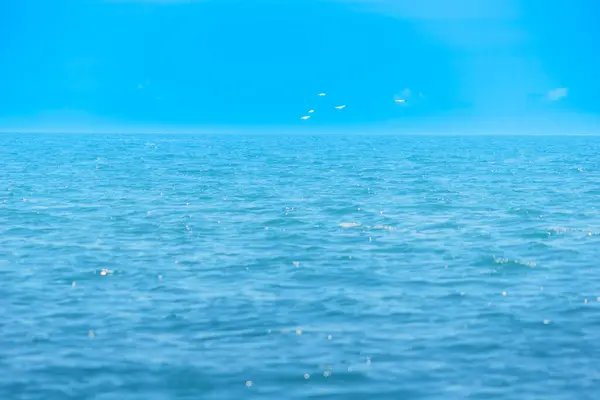 Images style realistic ocean object with colorful images libres de ...