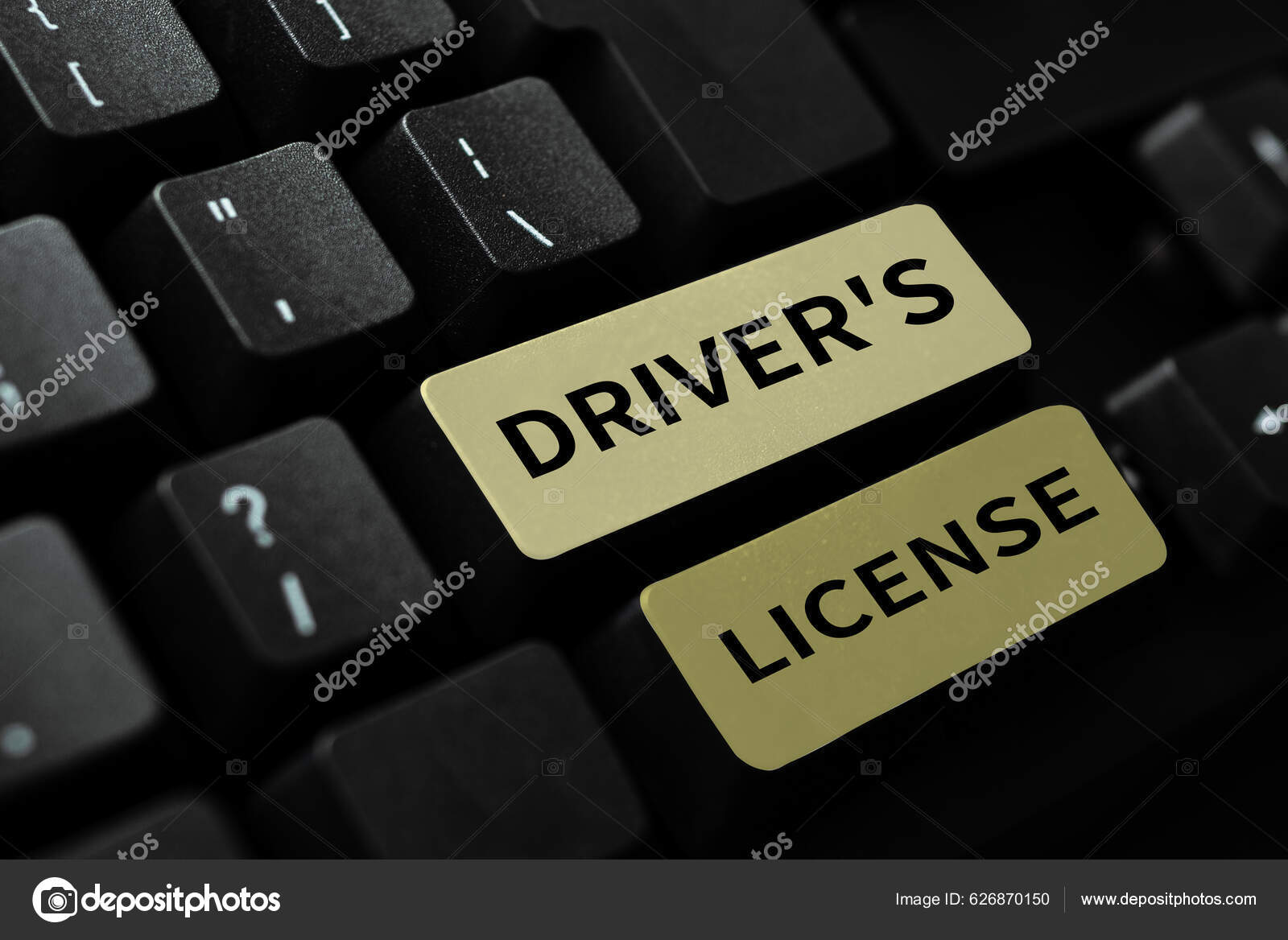 Conceptual Caption Drivers License Word Written Document Permitting ...