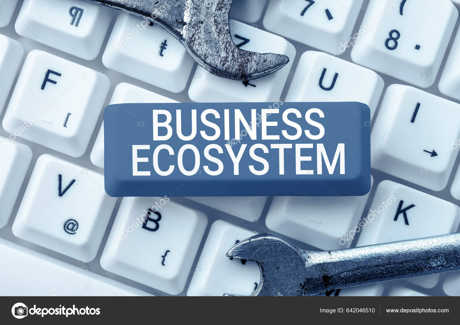 Conceptual Caption Business Ecosystem Word Written Develop Implement ...