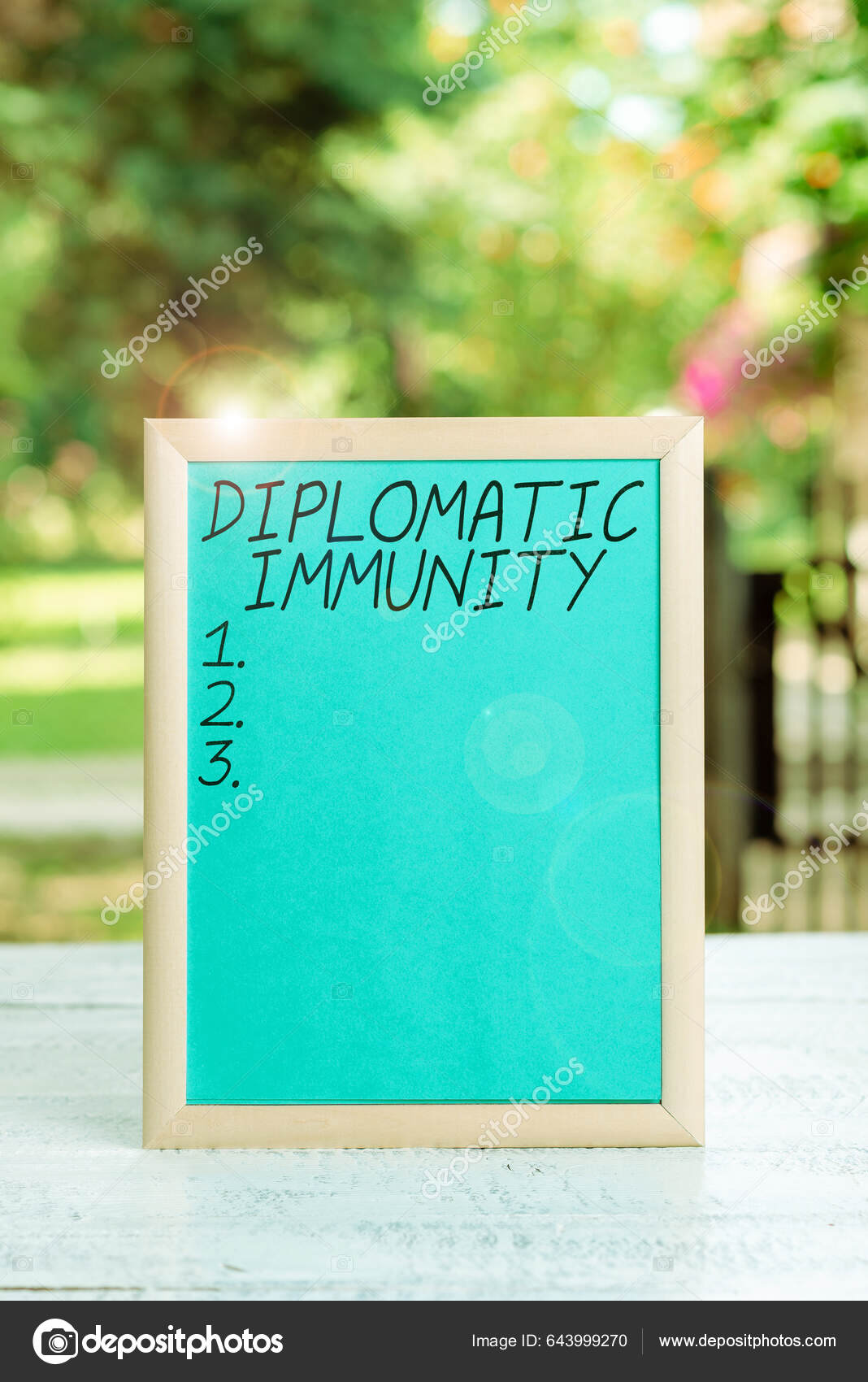 Diplomatic Immunity