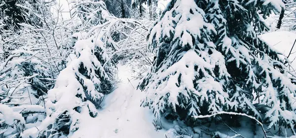 Frigid Stock Photos, Royalty Free Frigid Images | Depositphotos