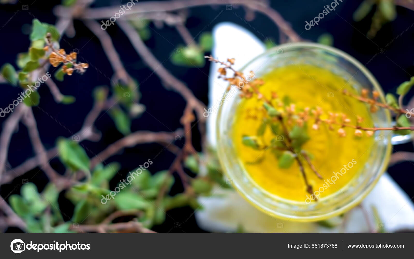Tulsi Basil Leaf Tea Glass Cup Fresh Basil Leaves Wooden — Stock Photo ...