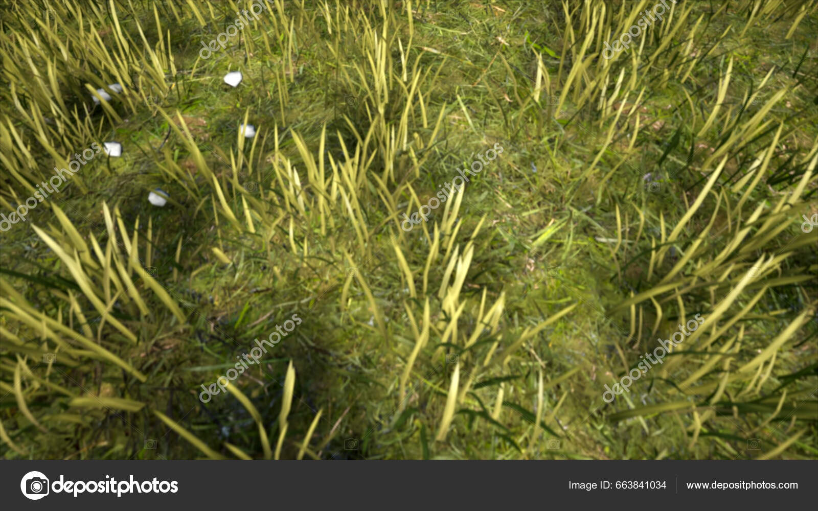 Rendered Grass Ground Ultra Realistic Grass Loopable Seamless Grass ...