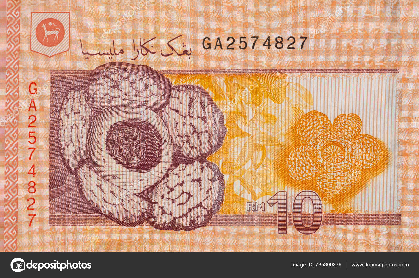 Rm10 Note Features Rafflesia Parasitic Flowering Plants Back Side ...