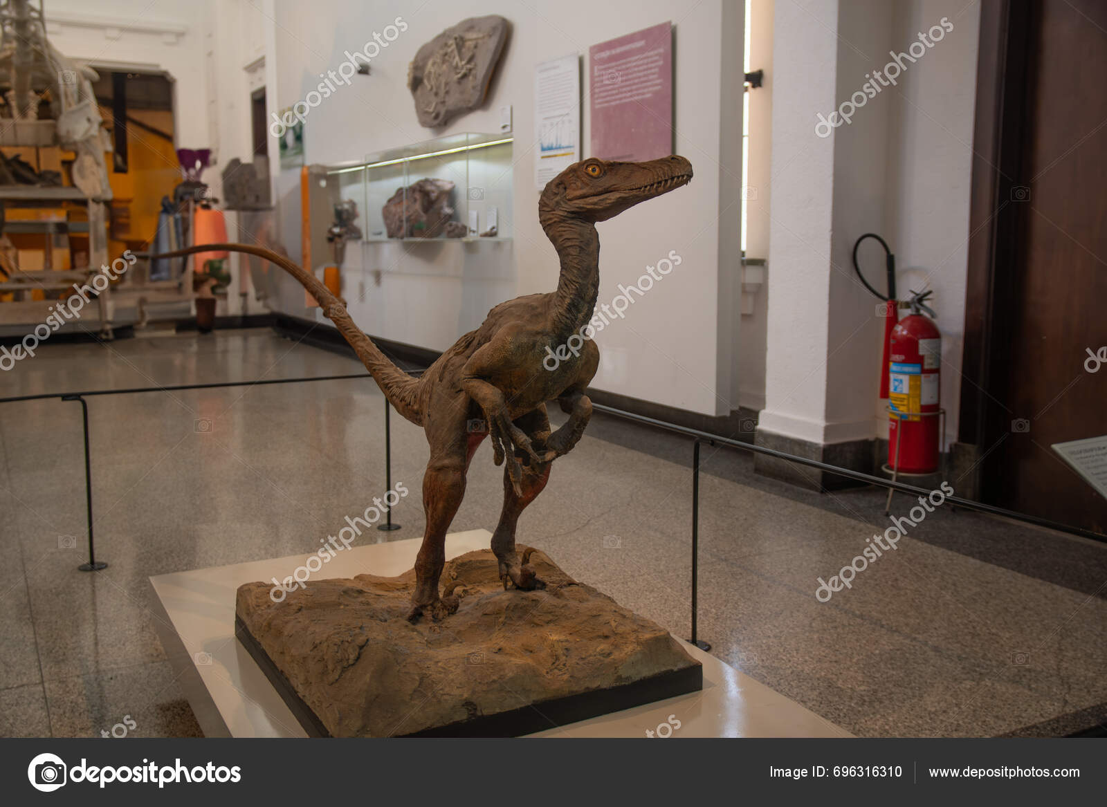 Velociraptor Replica Sao Paulo Zoology Museum Jan 2024 Sao Paulo ...