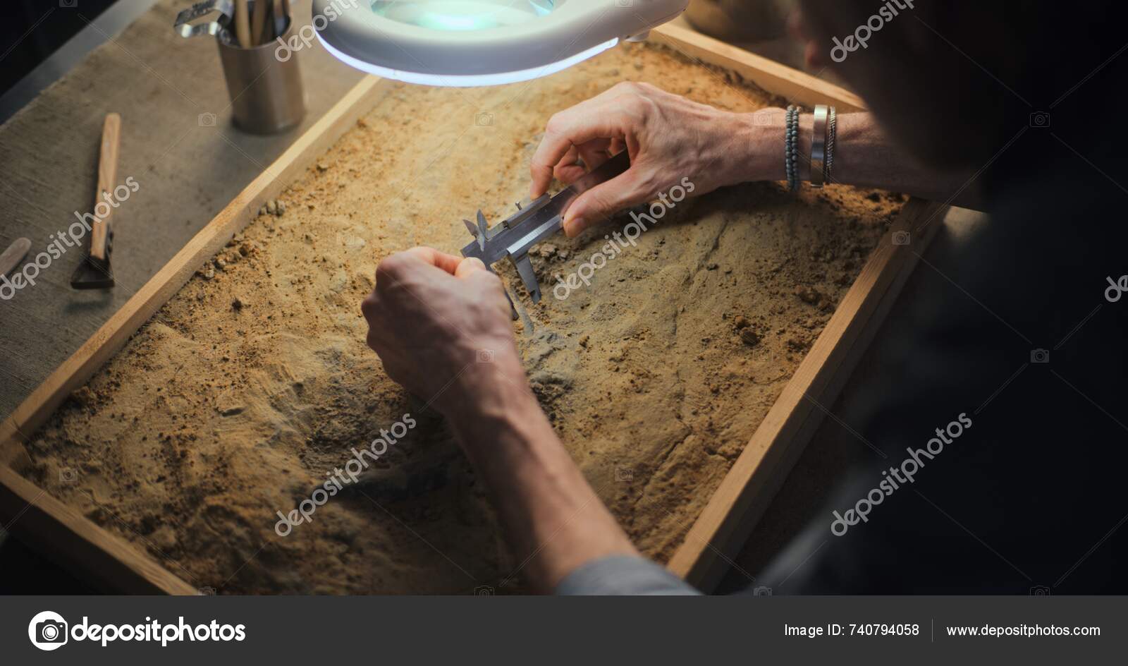 Archaeologist Takes Measurements Dinosaur Remains Colleague Using ...