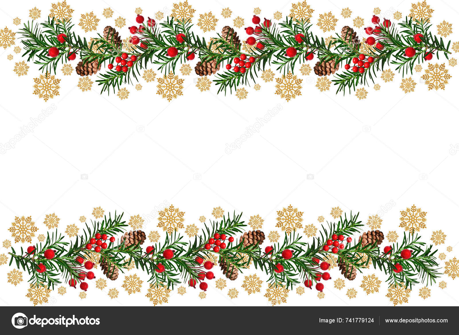 Festive Christmas Frame Horizontal Arrangement Coniferous Branches ...