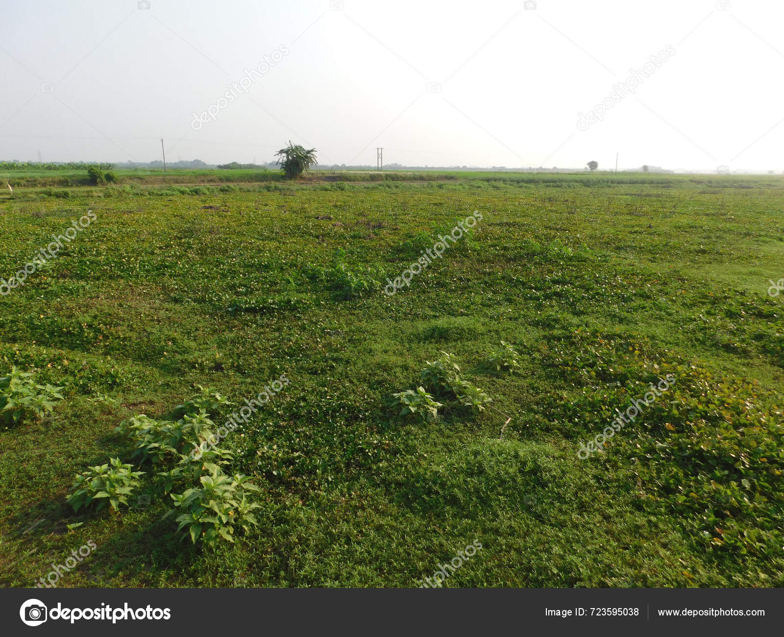 Nature Broadest Sense Natural Physical Material World Universe Nature ...