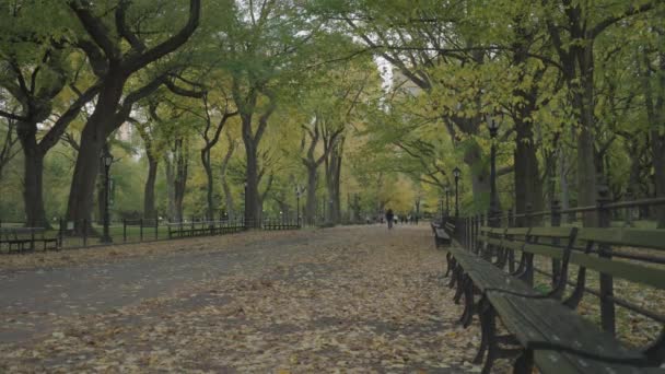 Fall Foliage Colors Central Park Mall Literary Walk Manhattan New ...