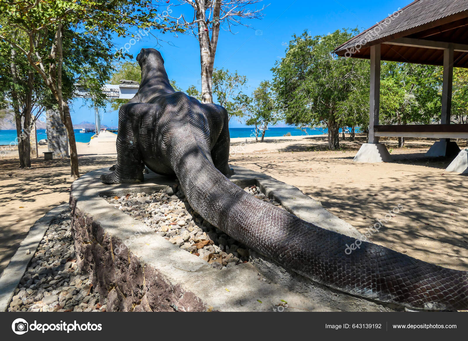 Backside View Gigantic Venomous Komodo Dragon Roaming Free Komodo ...