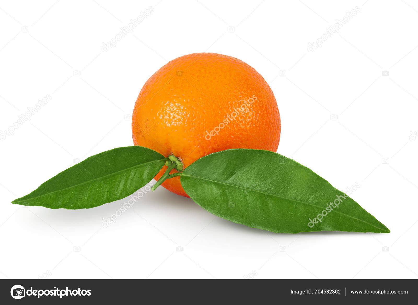 Orange Fruit Leaves Isolated White Background Full Depth Field — Stock ...