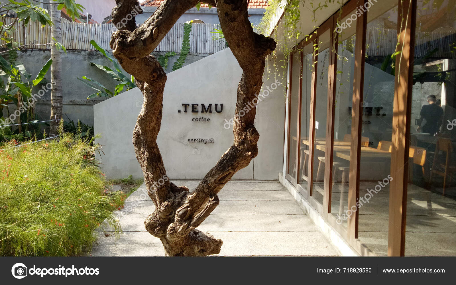Titik Temu Coffee Brand Name Wall Framed Tree Branch Outdoor — Stock ...
