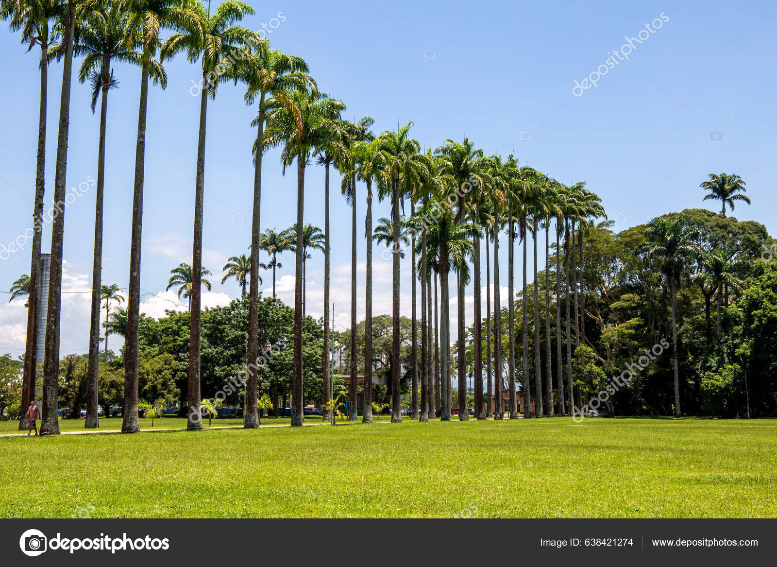 Burle Marx Park Parque Cidade Sao Jose Dos Campos Brazil — Stock Photo ...