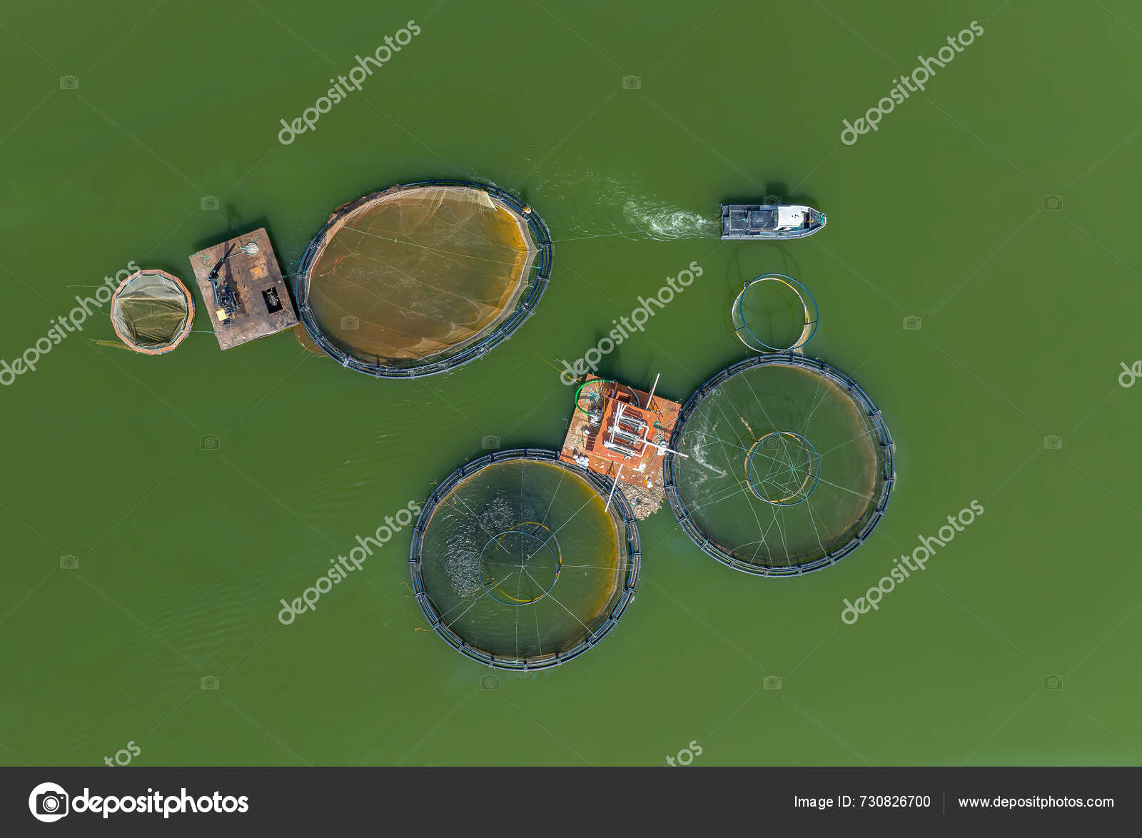 Fish Farming Fish Farm Lake — Stock Photo © kenantalas@gmail.com #730826700