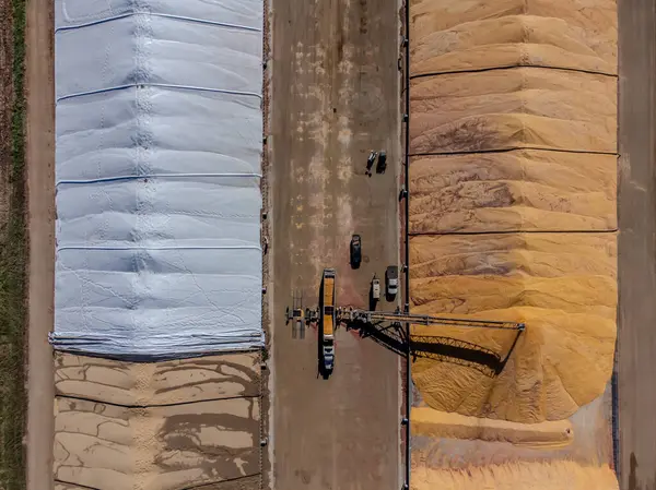 Drone view over two grain storage piles being filled and covered. High ...