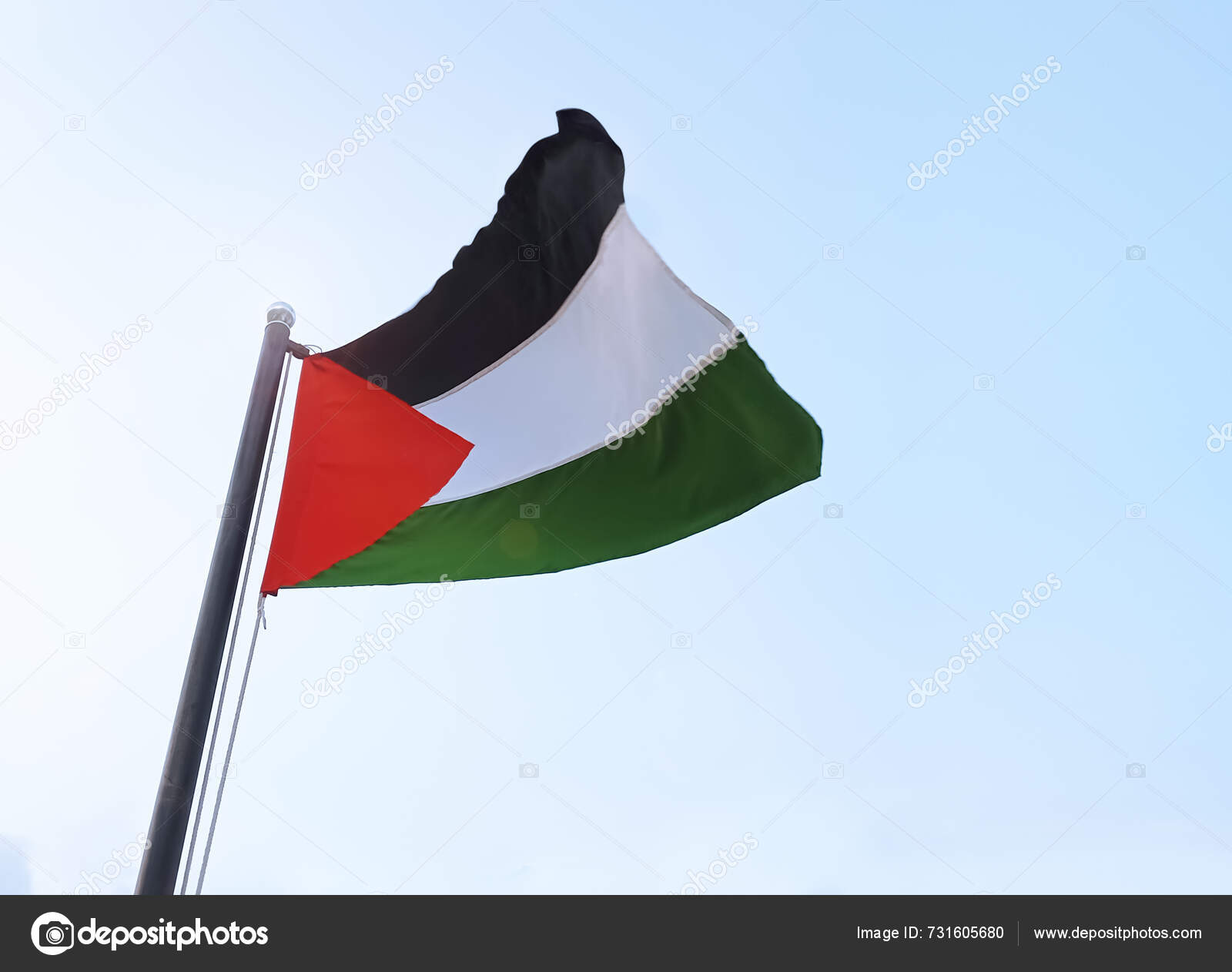 Palestine Flag Waving Sky Clear Blue Sky Backdrop Waving Palestine ...