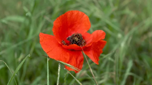 Portfolio: Ambient_Nature_Atmosphere - Foto, Immagini, Vettoriale ...