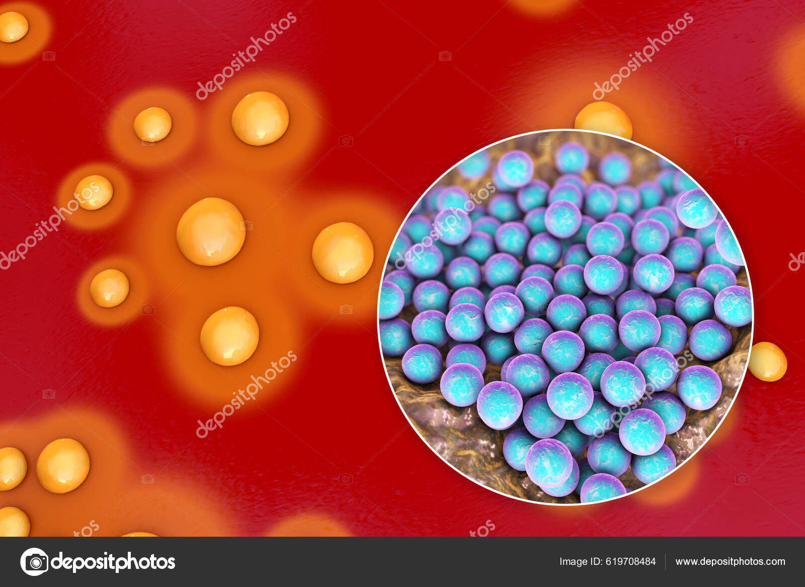 Staphylococcus Epidermidis Bacteria Photograph By Dr