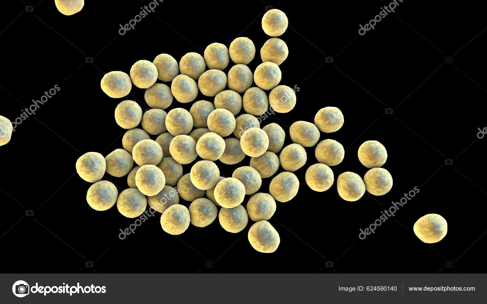 Bacteria Methicillin Resistant Staphylococcus Aureus Mrsa Multidrug Resistant Bacteria ...