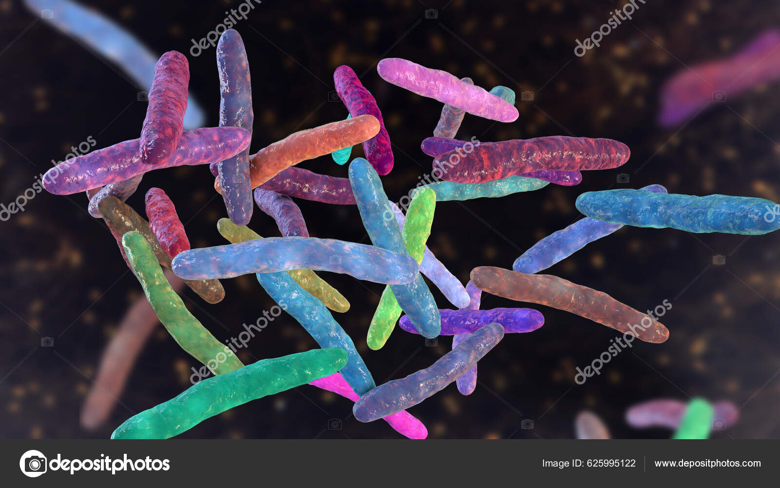 Mycobacterium Bovis TB Knowledge Exchange TB Transmission From Badgers