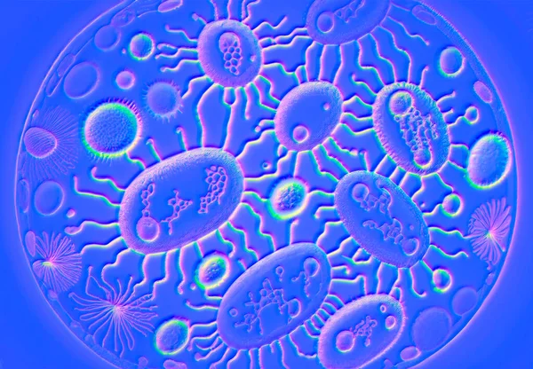 Beautiful Microworld Microbes Different Shapes Illustration Stock Photo ...