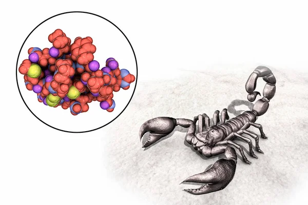 Molecule of scorpion chlorotoxin, 3D illustration. A peptide from venom ...