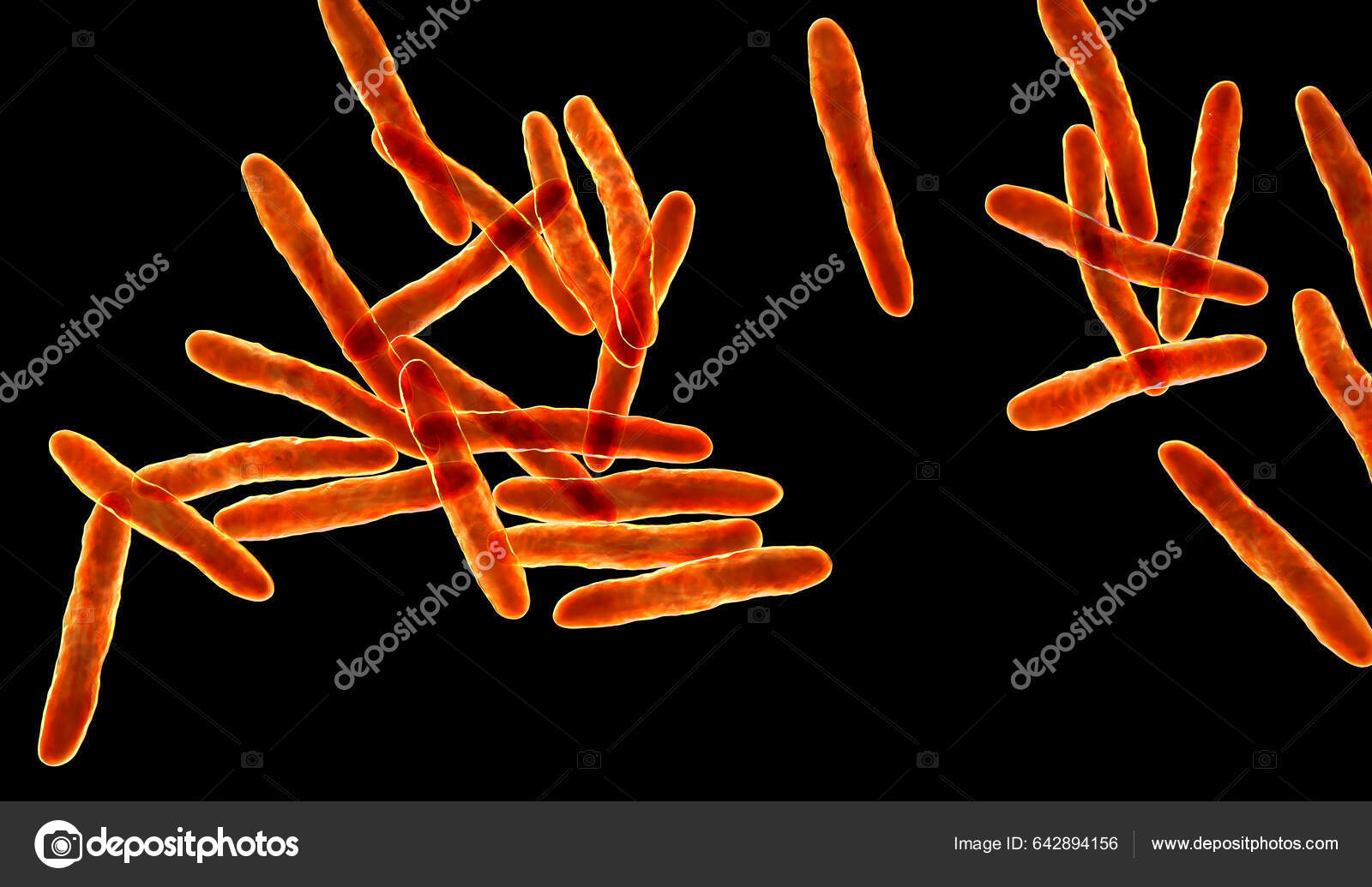 Mycobacterium Ulcerans Illustration Causative Agent Buruli Ulcer ...