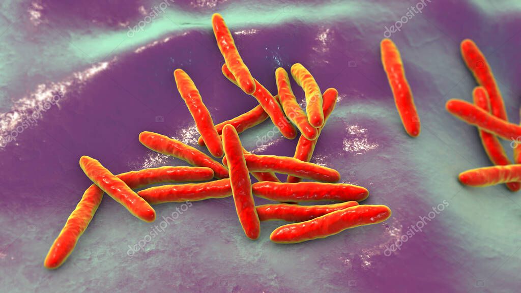 Mycobacterium ulcerans, ilustración 3D. El agente causal de la úlcera ...