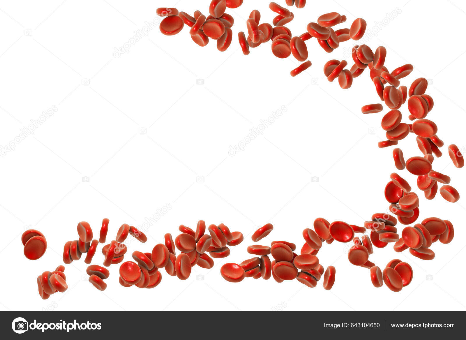 Red Blood Cells Isolated White Illustration Background Central Empty ...