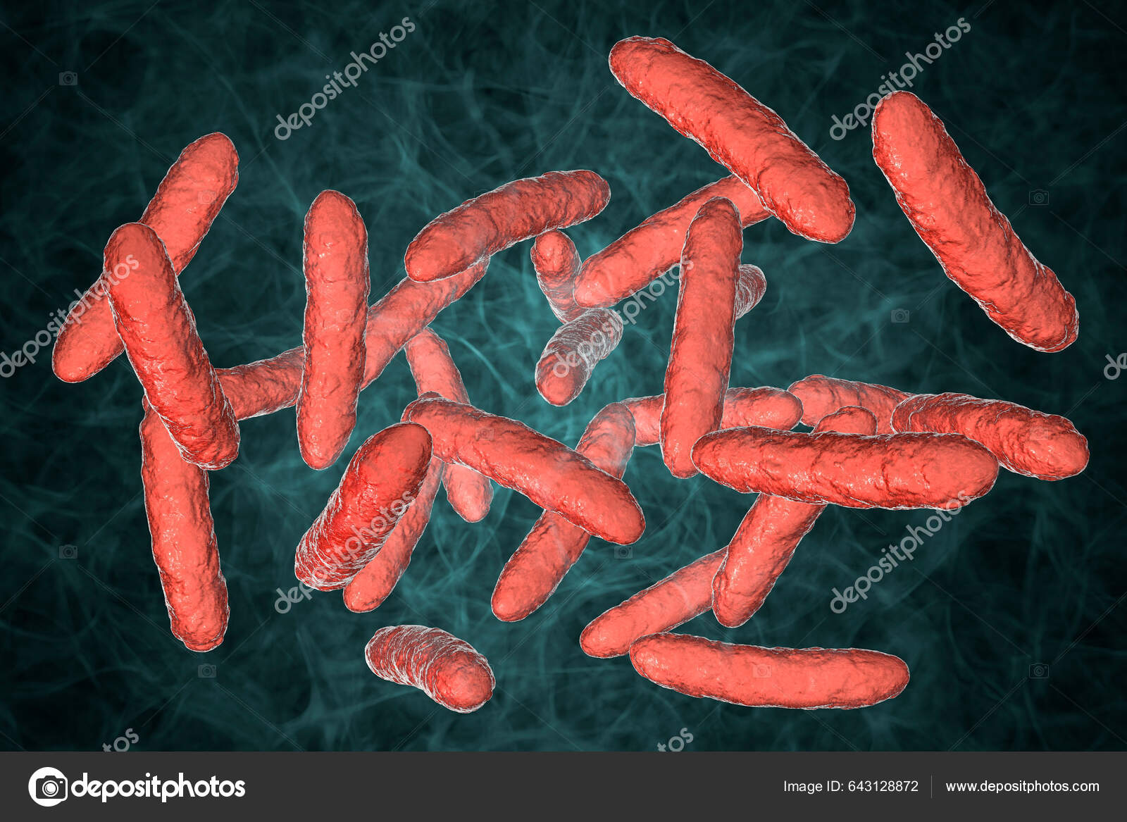Probiotic Bacteria Normal Intestinal Microbiota Illustration Bacteria ...