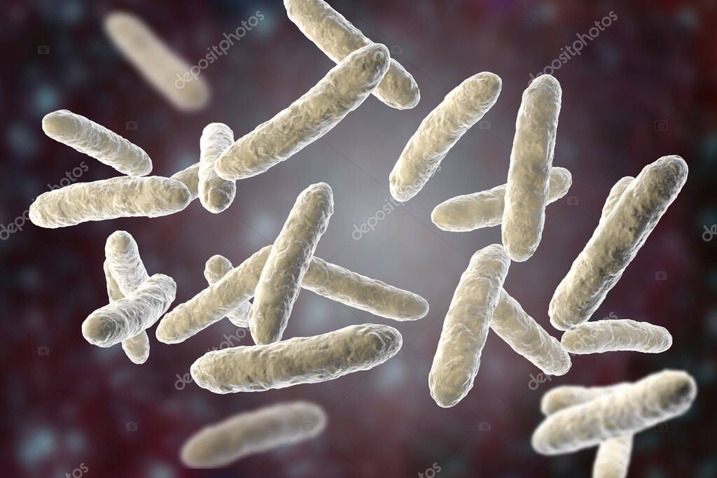 Probiotic bacteria, normal intestinal microflora, 3D illustration ...