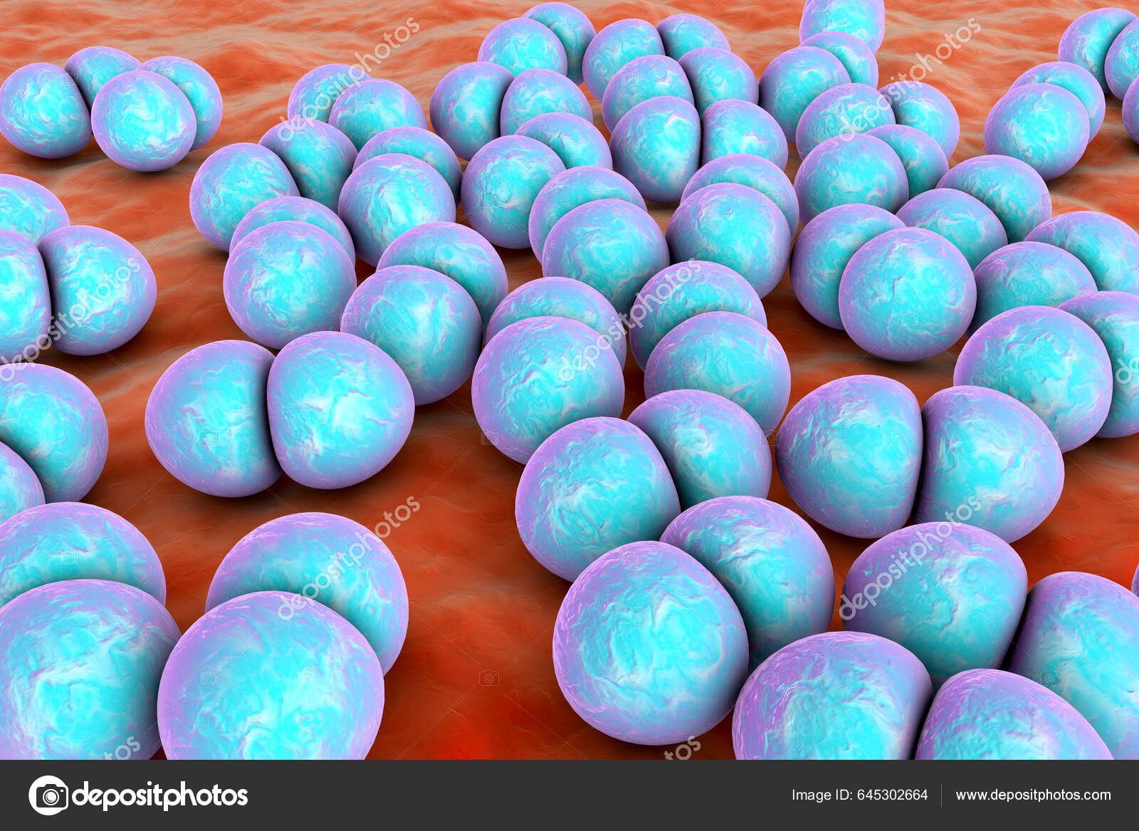 Pneumococos Bacterianos Streptococcus Pneumoniae Bactérias Esféricas ...