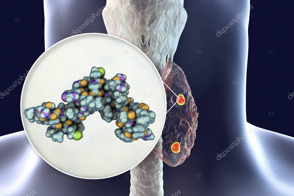 Hormona paratiroidea humana, modelo molecular, ilustración 3D. También ...