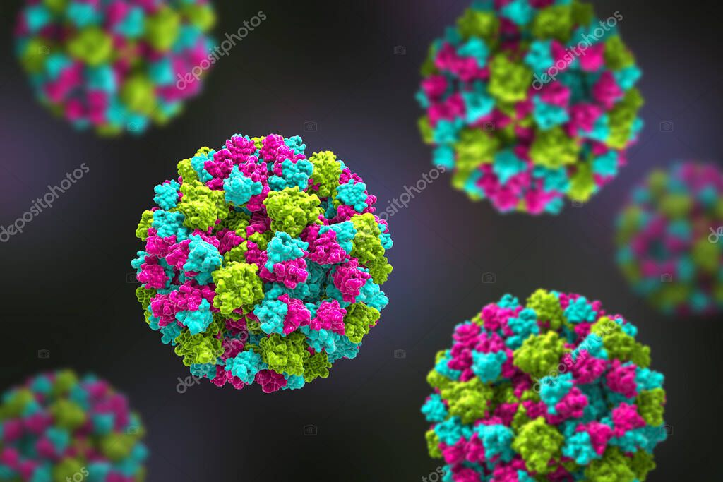 Norovirus, vómitos de invierno, virus ARN de la familia Caliciviridae ...