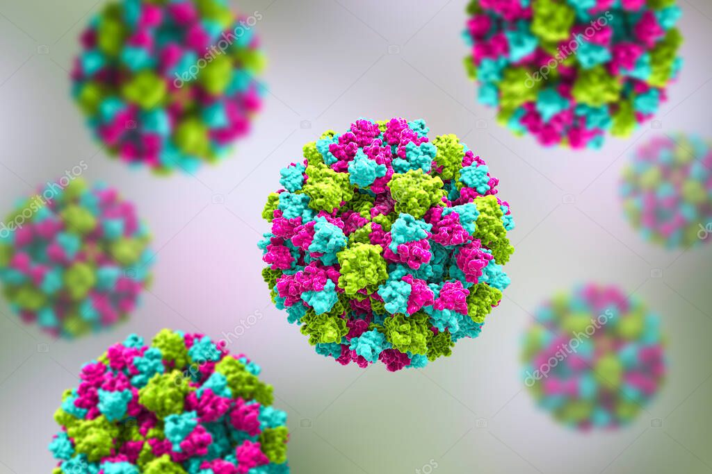 Norovirus, vómitos de invierno, virus ARN de la familia Caliciviridae ...