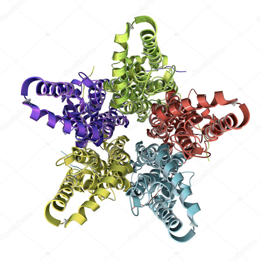 Molecular model of Bestrophin-1 (Best 1) protein, 3D illustration ... Molecular model of Bestrophin-1 (Best 1) protein, 3D illustration ...