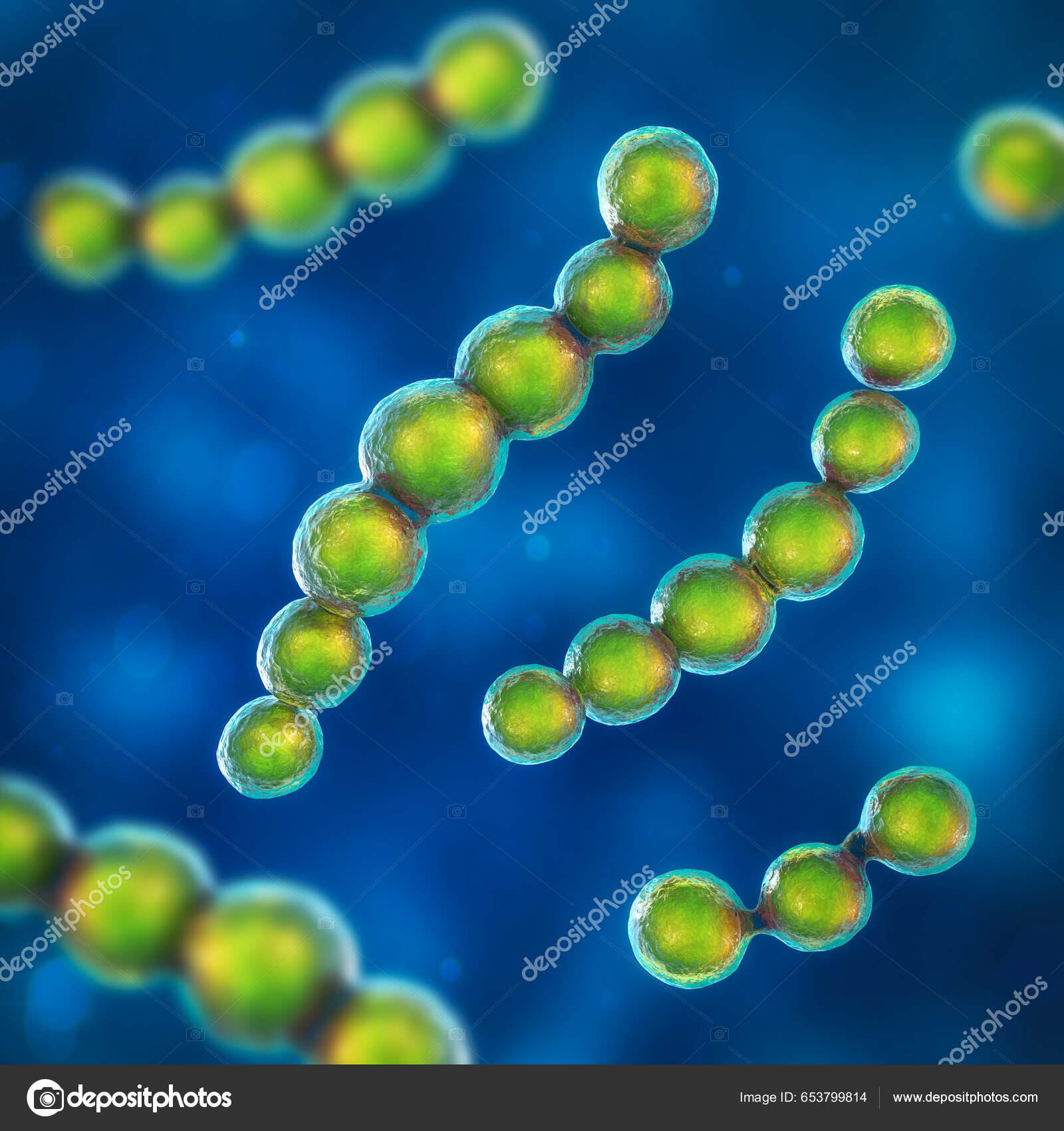 Microscopic Fungi Lacazia Loboi Causative Agent Lobomycosis Chronic ...
