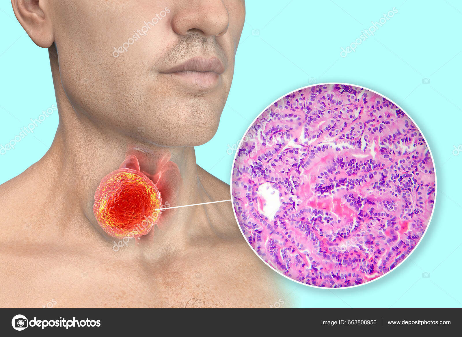 Una Ilustración Científica Que Muestra Hombre Con Piel Transparente Revelando — Foto de stock ...