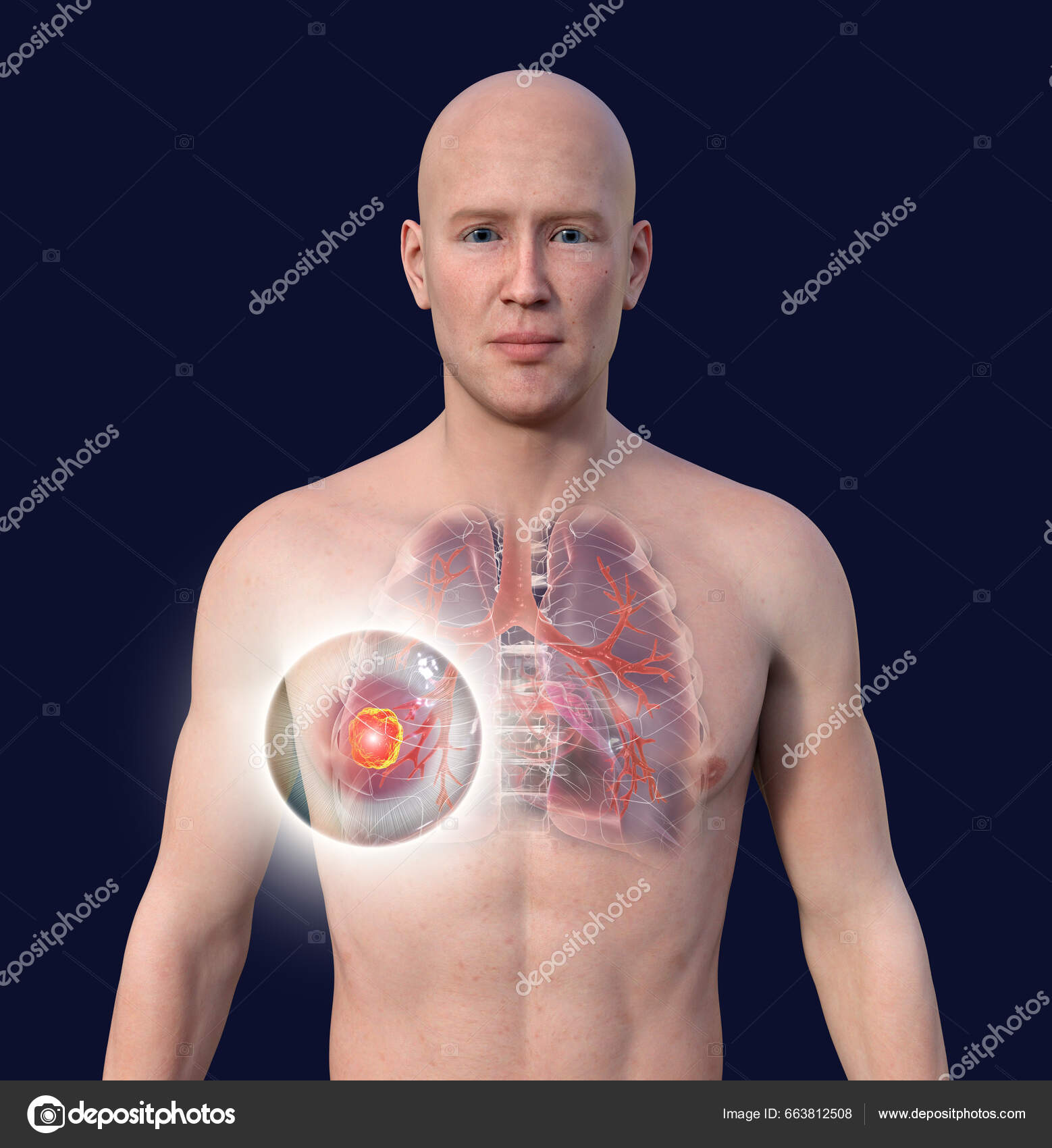 Photorealistic Illustration Upper Half Part Man Transparent Skin ...