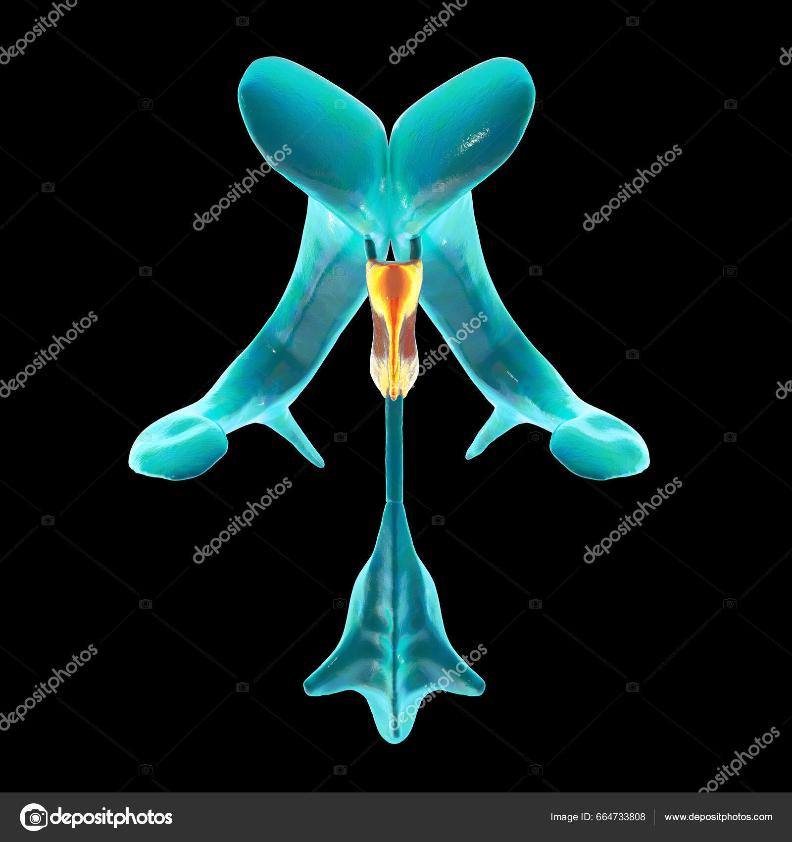 Una Ilustración Científica Que Muestra Tercer Ventrículo Cerebral ...