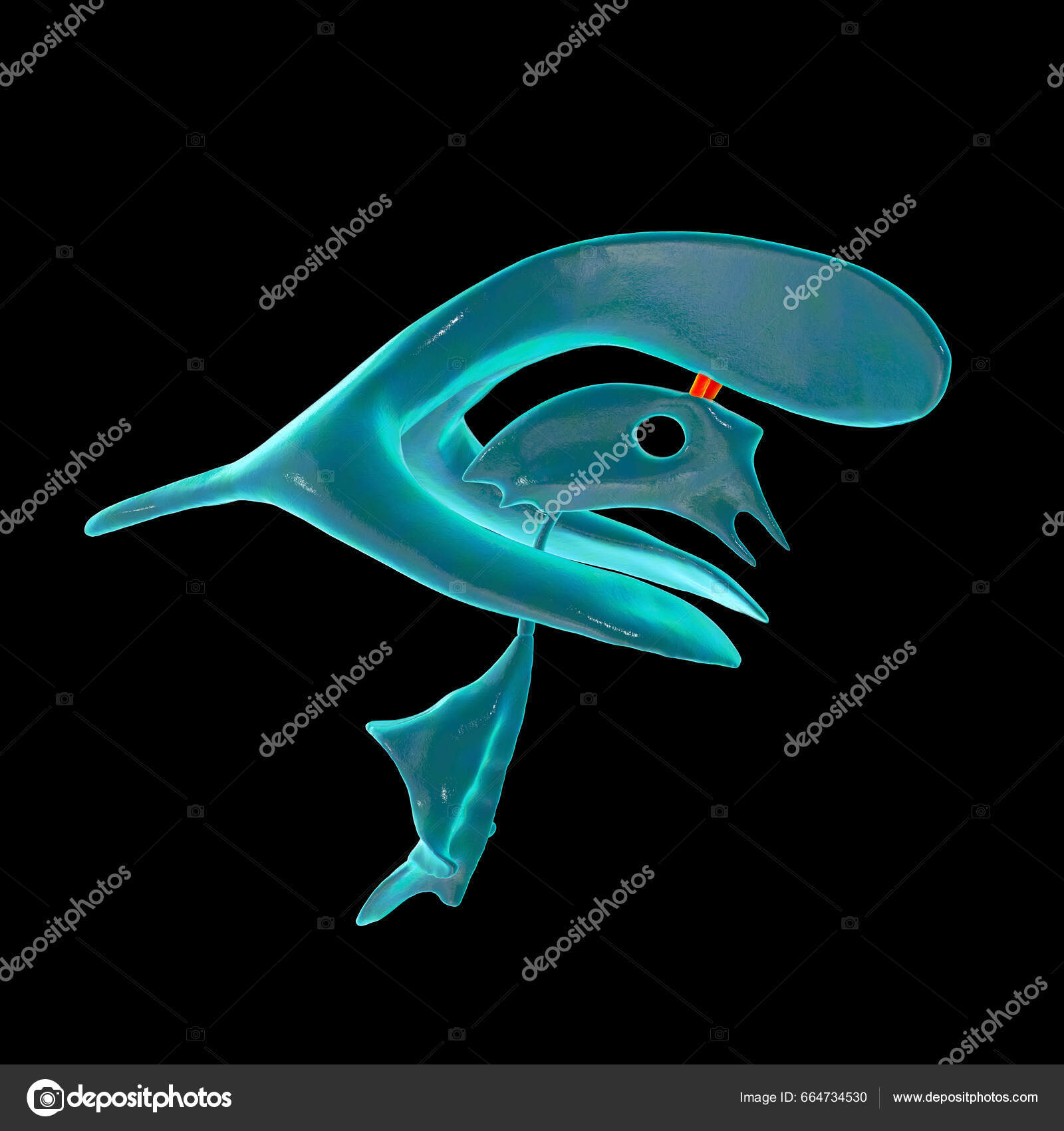 Interventricular Foramen Passage Connects Brain Lateral Ventricles ...