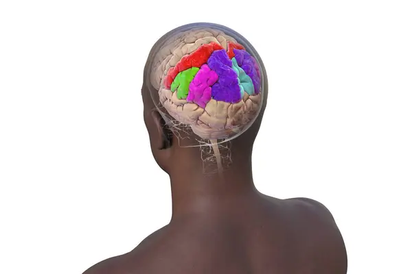 Imágenes de Postcentral libres de derechos | Depositphotos