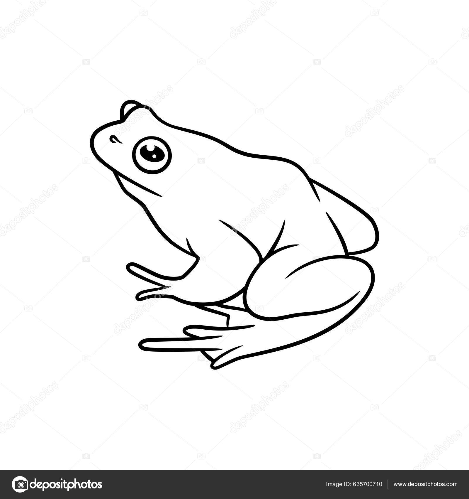 Toad Clipart Black And White Black And White Frog. Clip Art Image
