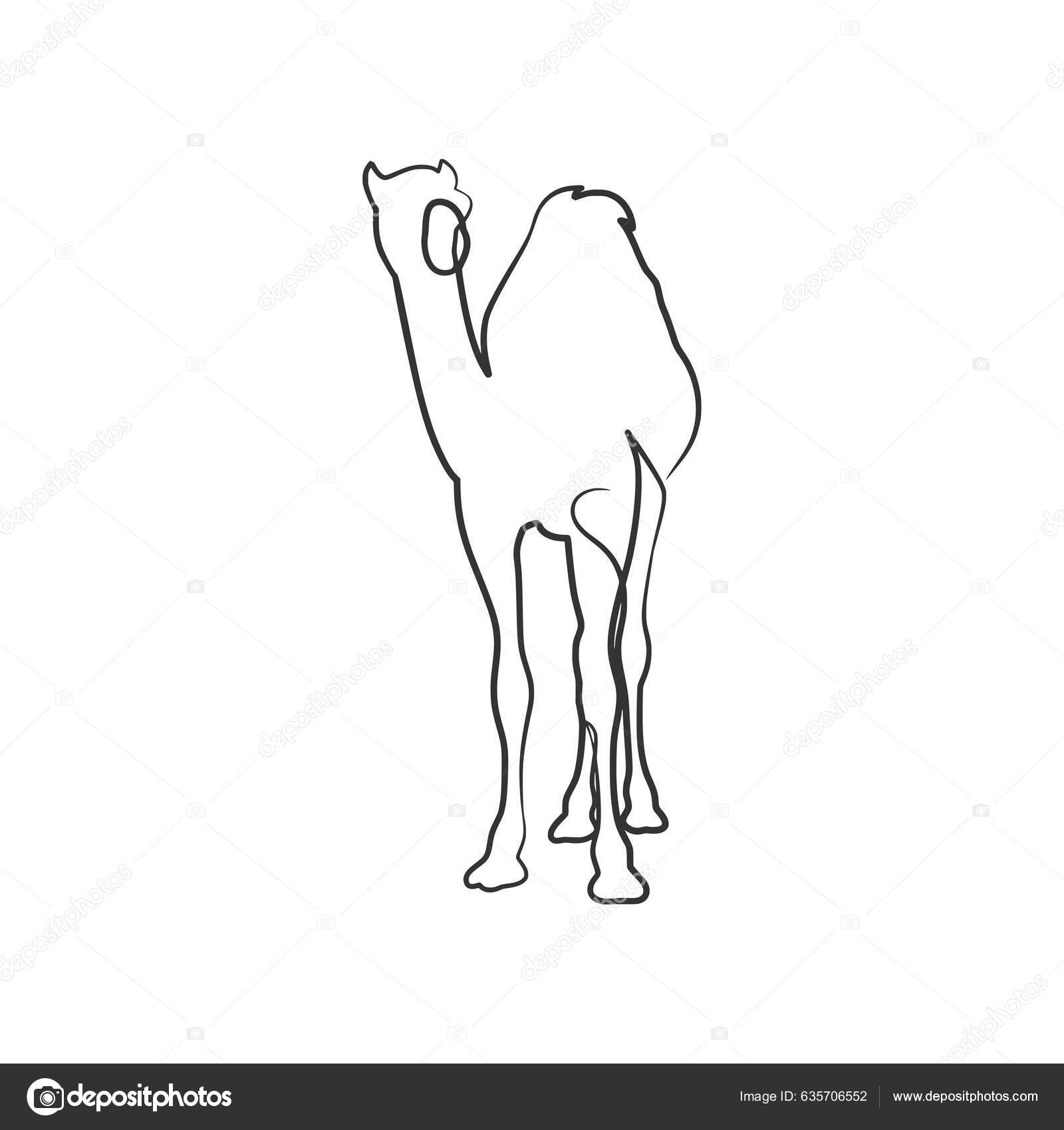 Camel Continuous One Line Art Drawing Camel Single Line Drawing Vetor ...