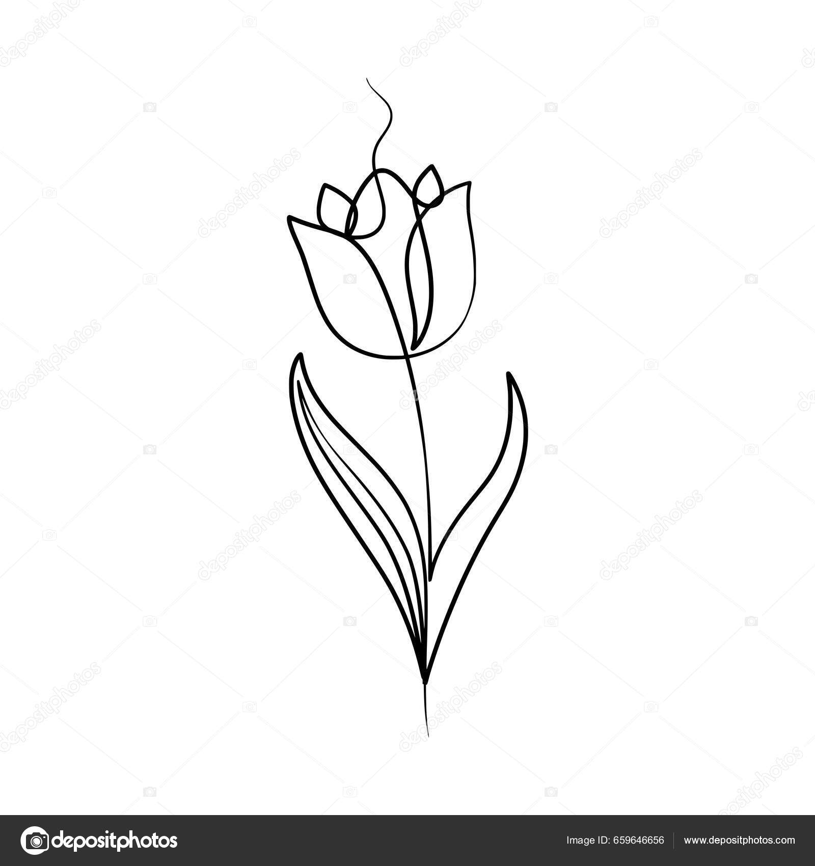 Continuous One Line Art Drawing Beauty Tulips Flower Hand Drawn Stock ...